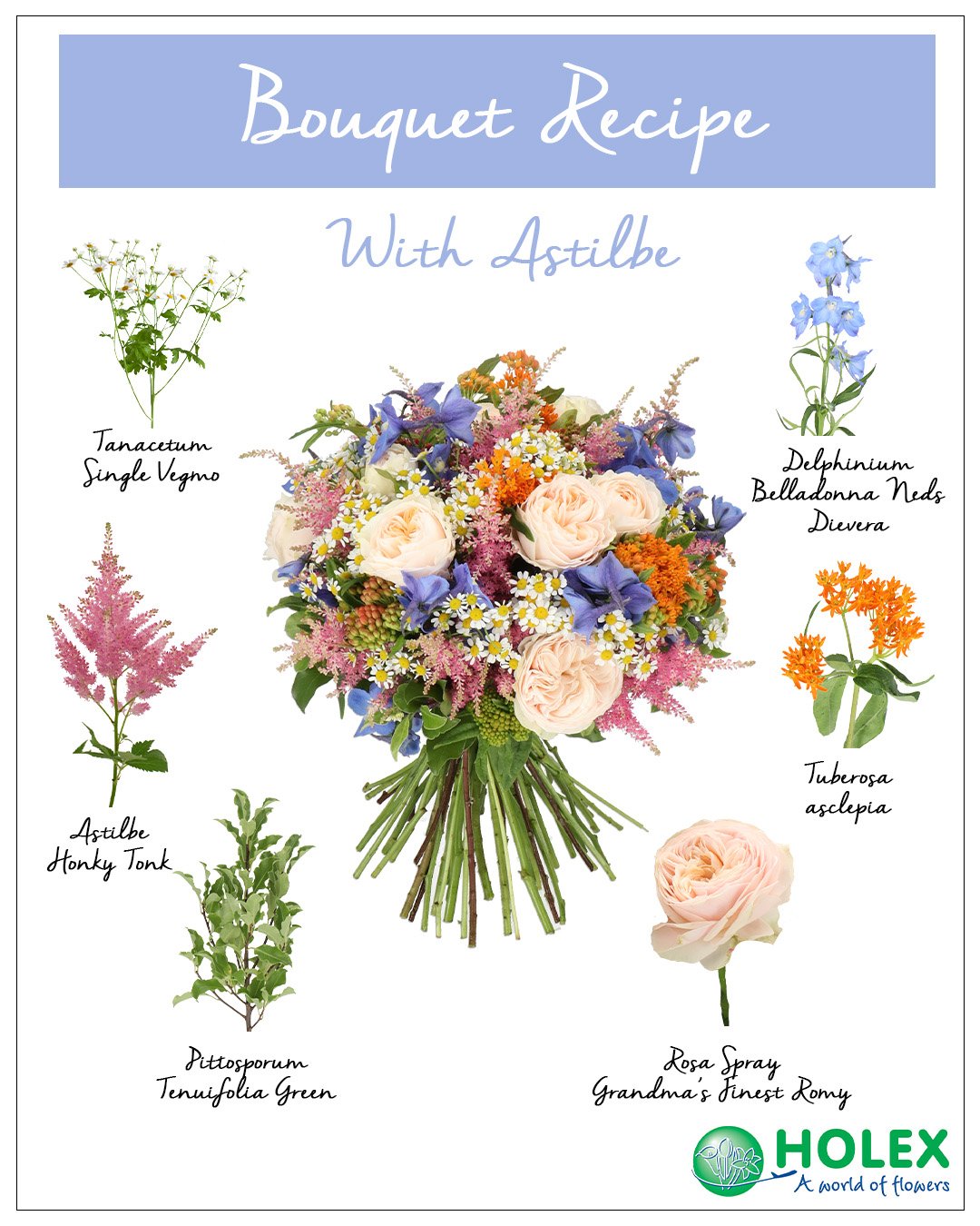 Bouquet recipe with Astilbe | Holex Flower