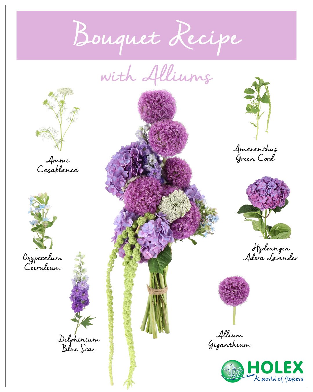 Bouquet recipe with Allium | Holex Flower